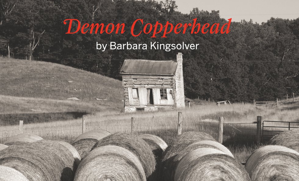 Demon Copperhead, Barbara Kingsolver | RobinAndrew